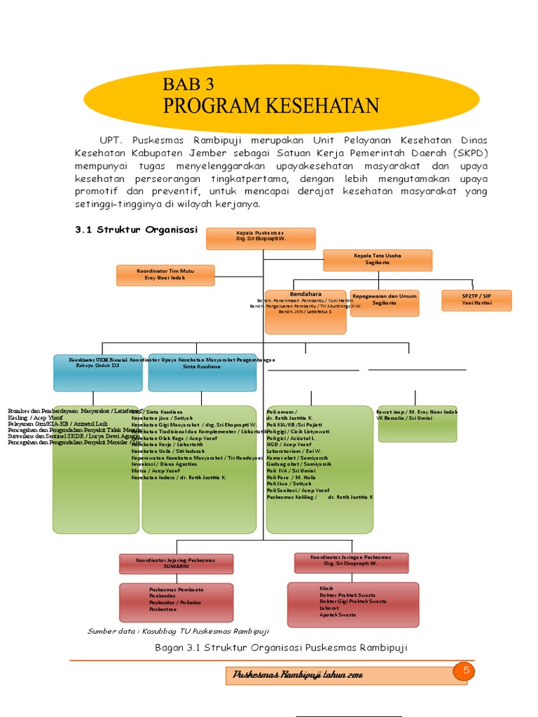 Bab 3. Program Kesehatan | PDF