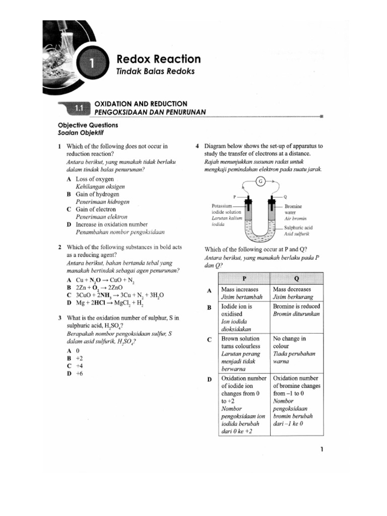 11 Exercises Pdf 