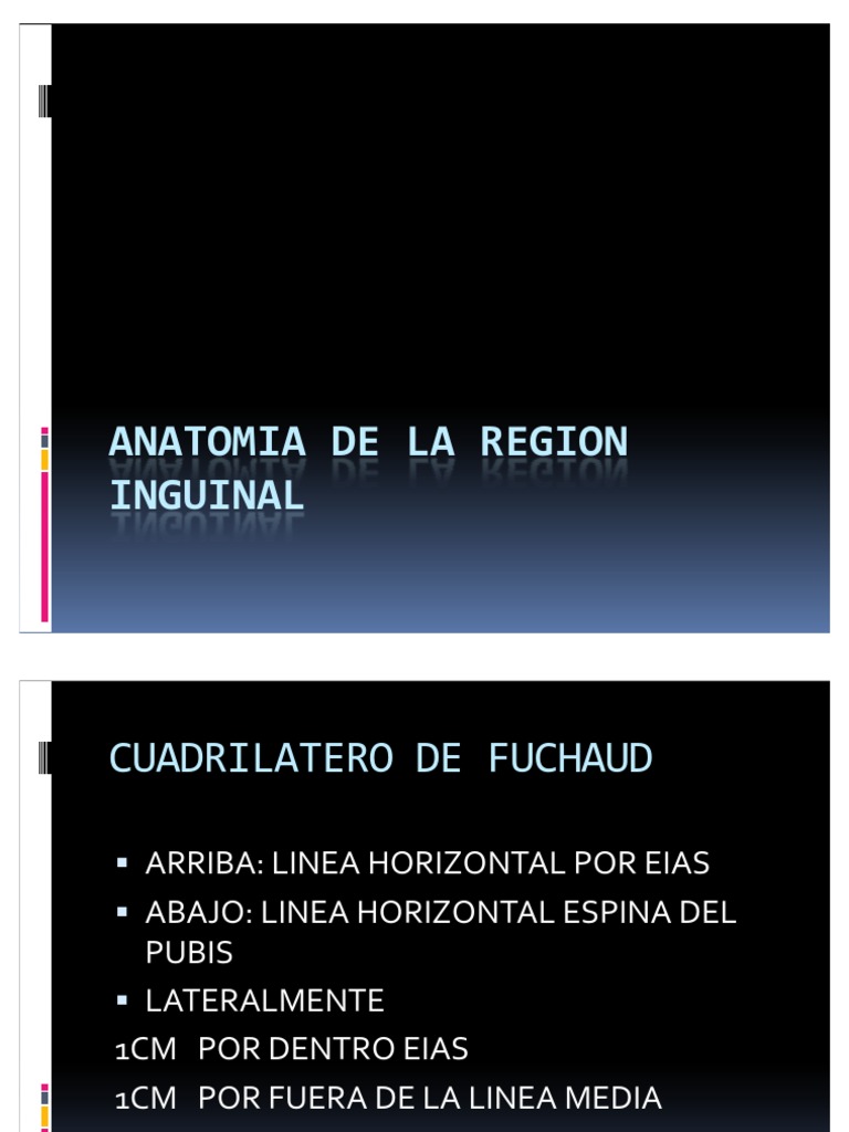 Anatomía de la región inguinal | PDF
