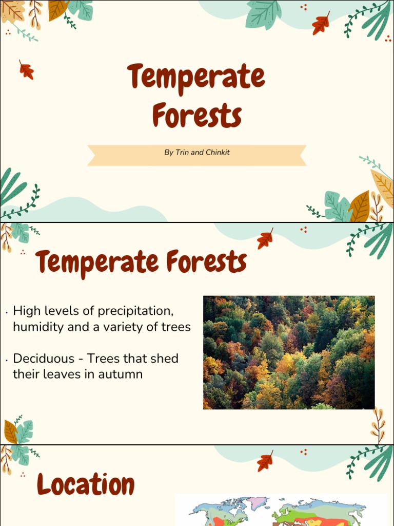 Temperate Forest | PDF