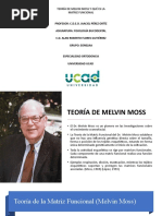 Teoría de La Matriz Funcional de Melvin Moss | PDF | Cráneo | Epigenética