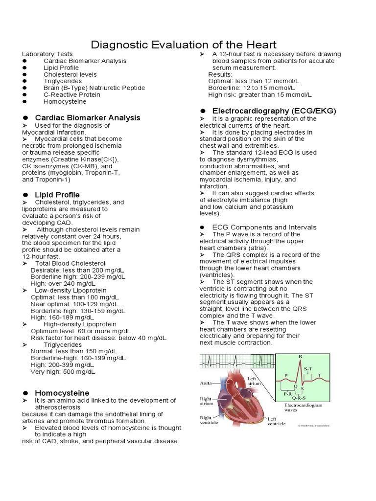 Diagnostic Evaluation of The Heart | PDF | Heart | Electrocardiography