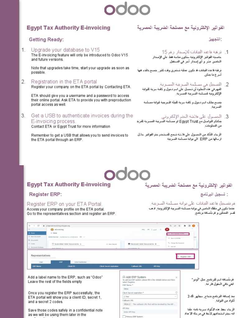 Egypt E-Invoicing | PDF | Secure Communication | Security Technology