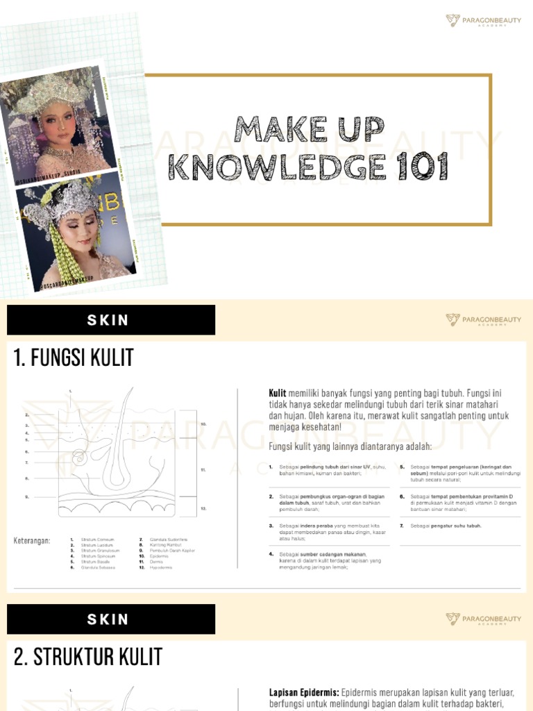 Makeup Knowledge 101 | PDF