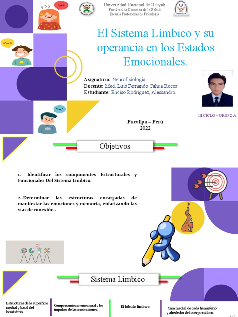 Neurofisiología Sistema Límbico Enciso Rodriguez | PDF | Sistema límbico | Las emociones