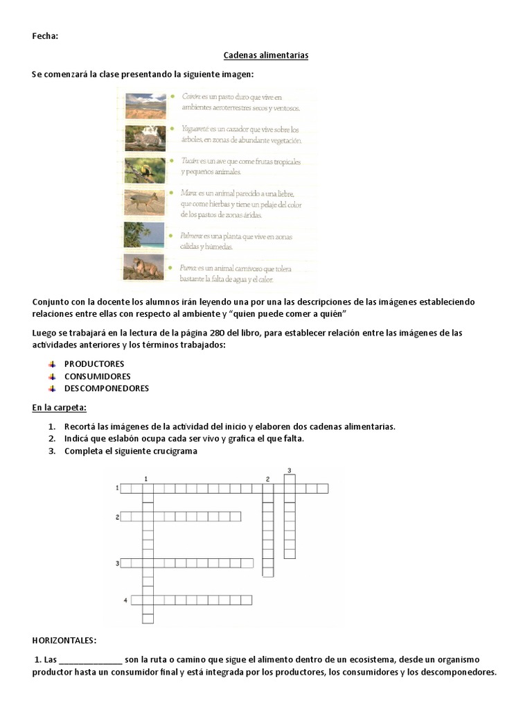 Cadenas Alimentarias | PDF