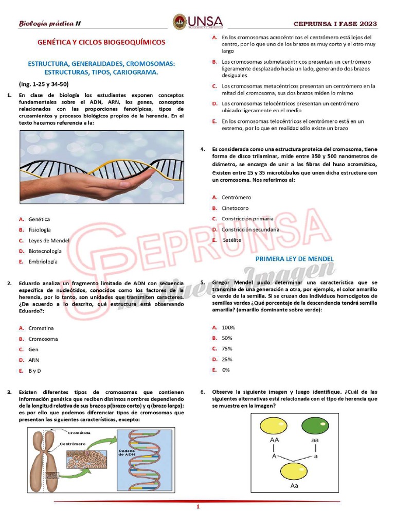 Práctica #11 Biología - Ceprunsa I Fase 2023 | PDF