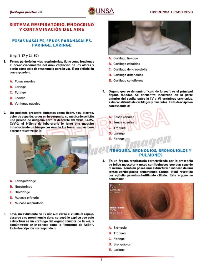 Práctica #08 Biología - Ceprunsa I Fase 2023 | PDF