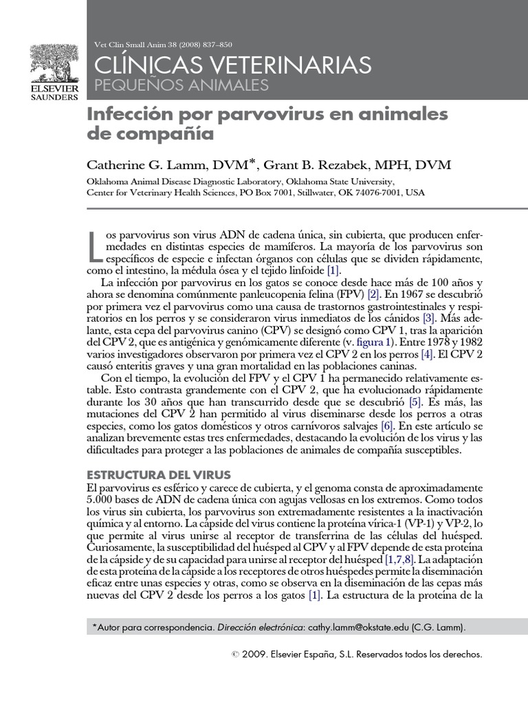 Infeccion Por Parvovirus en Animales de Compañia | PDF | Virus | Diarrea