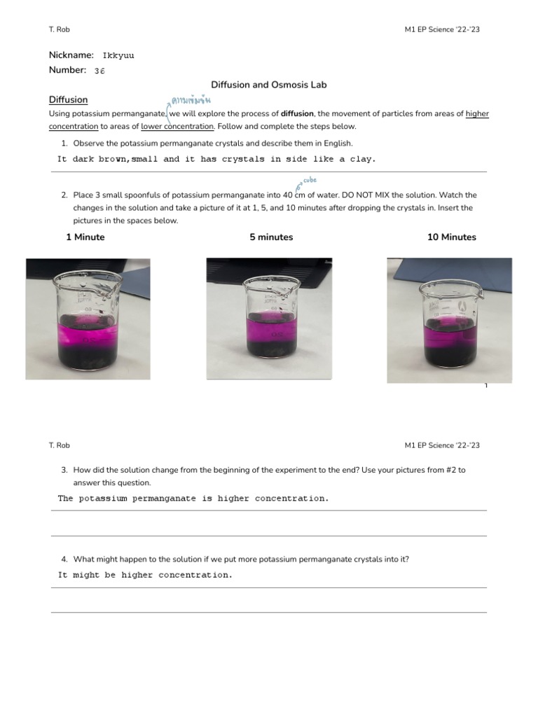 Diffusion and Osmosis Lab Experiment | PDF | Osmosis | Chemistry