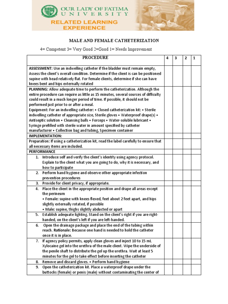Male and Female Catheterization | PDF | Catheter | Medical Specialties