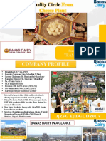 Basic Problem Solving (BPS) Template - Revised | PDF | Business