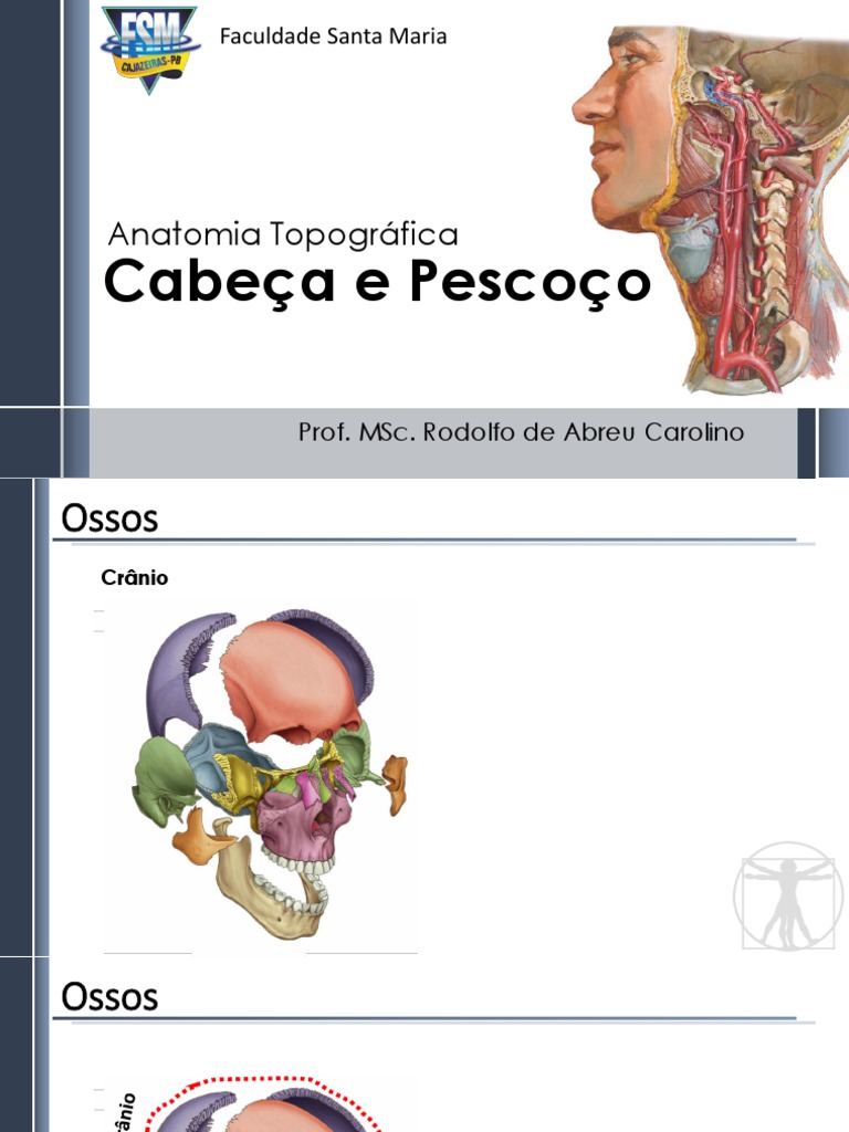 AULA 3 - Osso Frontal e Parietal (Calota) | Download grátis PDF | Crânio | Osso