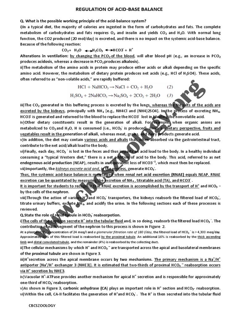 Maintaining Balance: The Regulation of Acid-Base Homeostasis Through ...