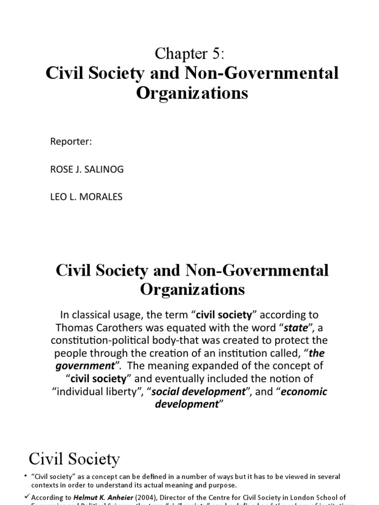 Civil Society and Non Governmental Organizations | PDF | Governance ...