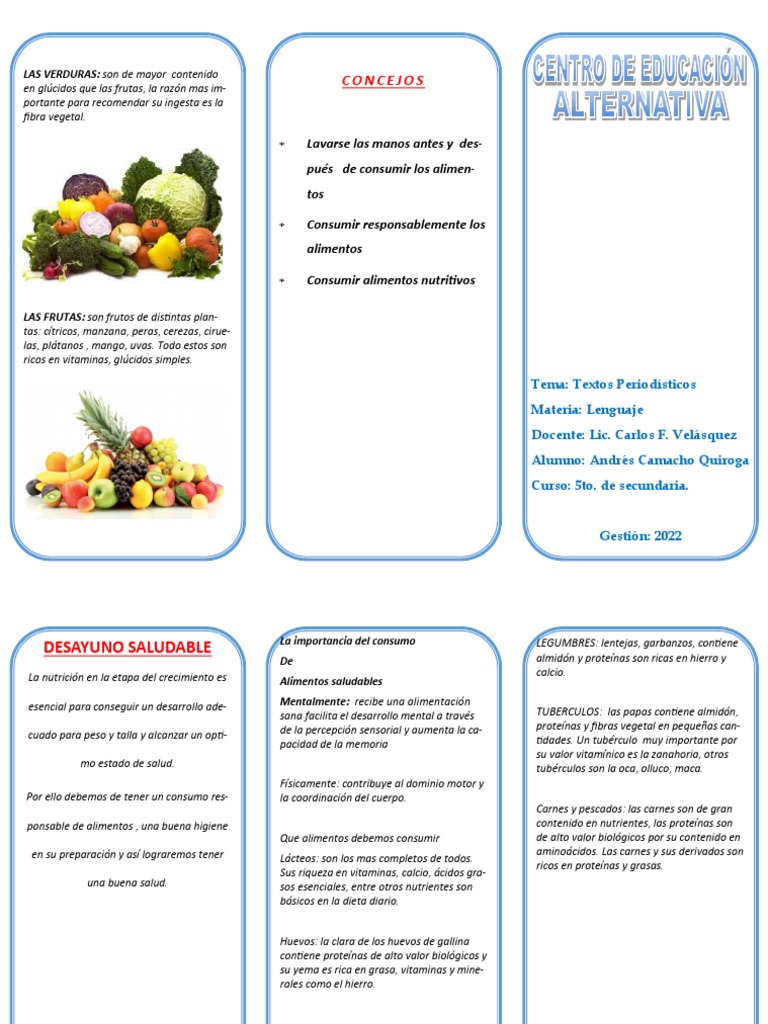 Tripticos Alimentos Saludables | PDF | Alimentos | Nutrición