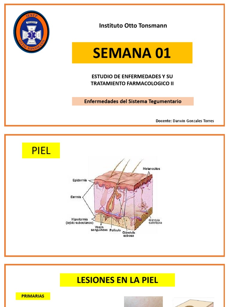 Sistema Tegumentario | Descargar gratis PDF | Especialidades Medicas | Medicina CLINICA