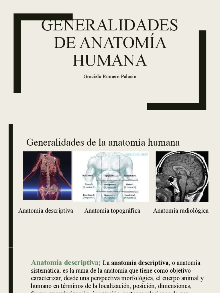 Generalidades de Anatomía Humana | PDF | Anatomía | Leonardo Da Vinci