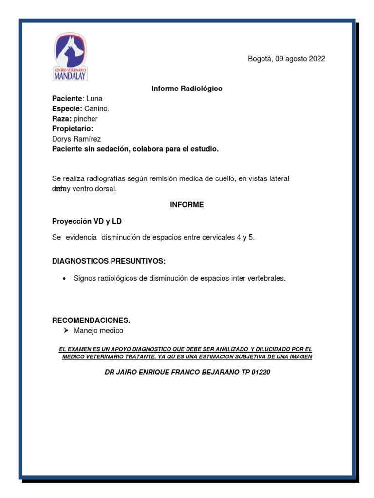 REPORTE Paciente Remitido Luna Pincher | PDF