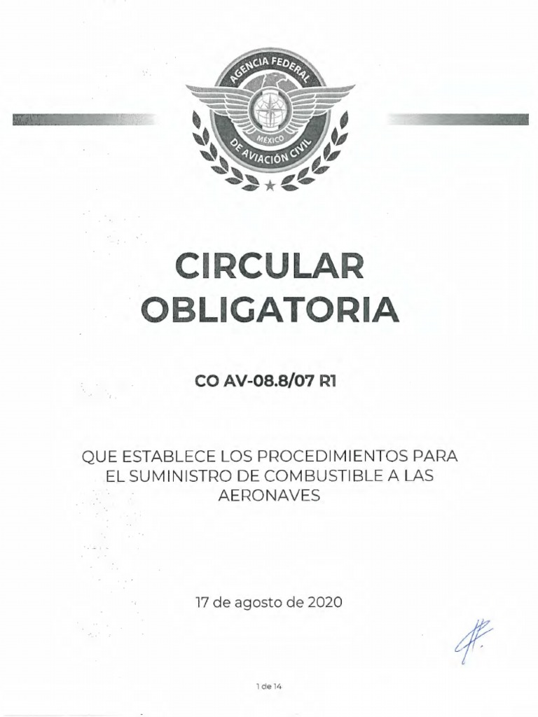 Circular Obligatoria: CO AV-08.8/07 RL | PDF | Aeropuerto | Transporte