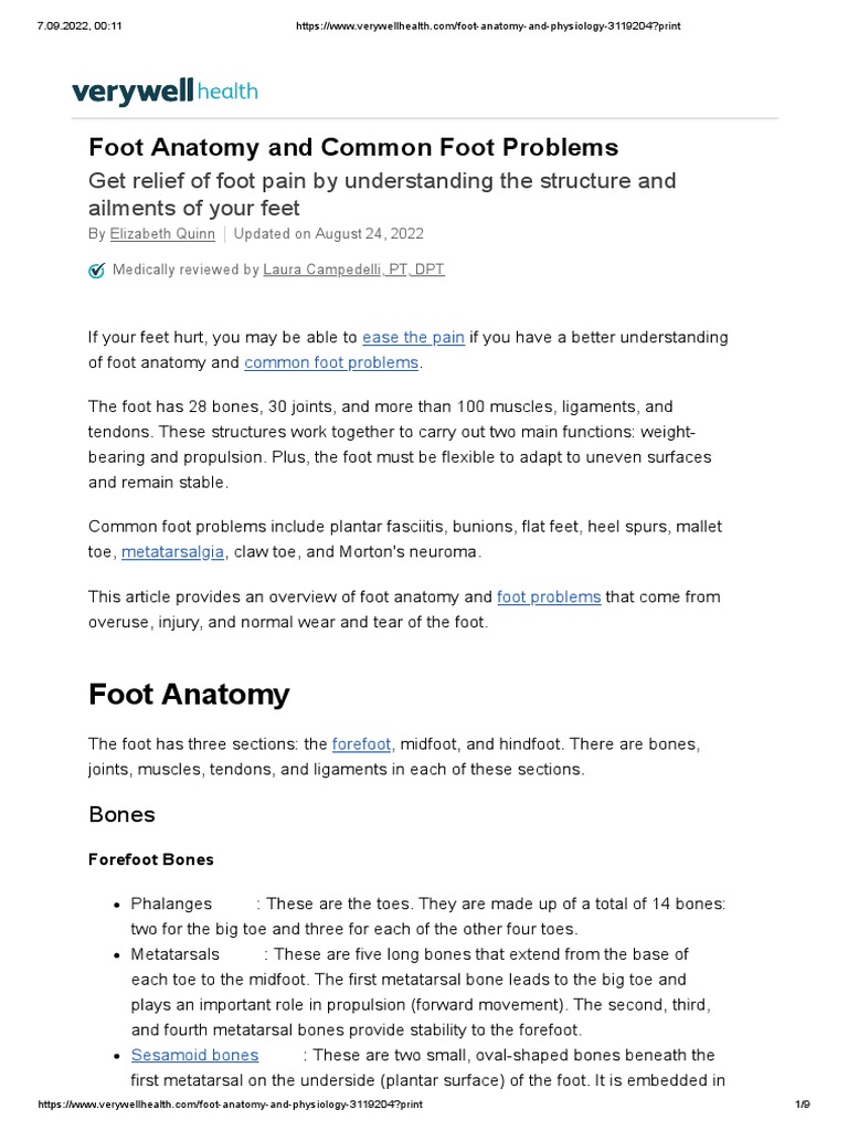 Understanding Foot Anatomy and Issues | PDF | Foot | Human Leg