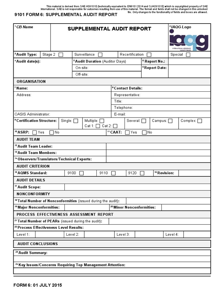 9101e Form6 Ul | PDF | Audit | Auditor's Report