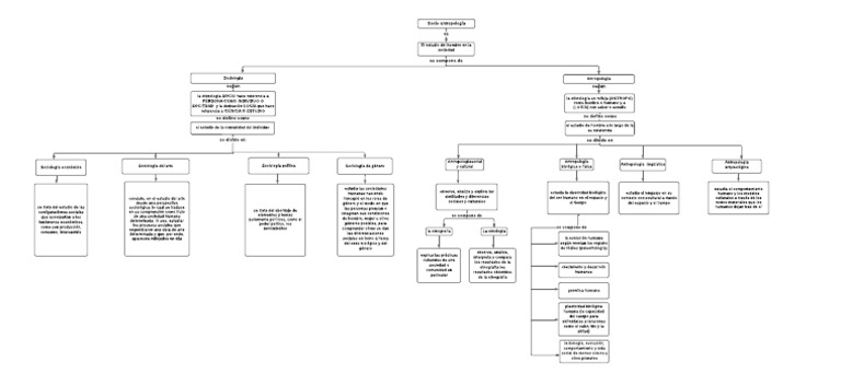 Mapa Conceptual A1 | PDF | Antropología | Sociología