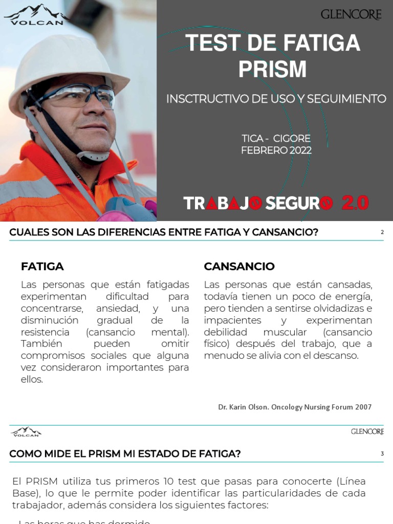Guía práctica para el uso y seguimiento del Test de Fatiga PRISM | PDF ...