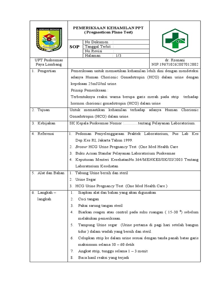 SPO Pemeriksaan PLANO TEST | PDF