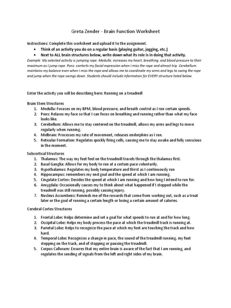 Brain Function Worksheet | PDF | Brain | Cerebral Cortex Brain Function Worksheet | PDF | Brain | Cerebral Cortex