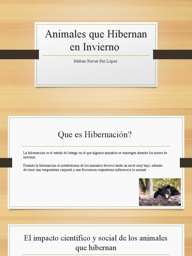 Animales Que Hibernan en Invierno | PDF