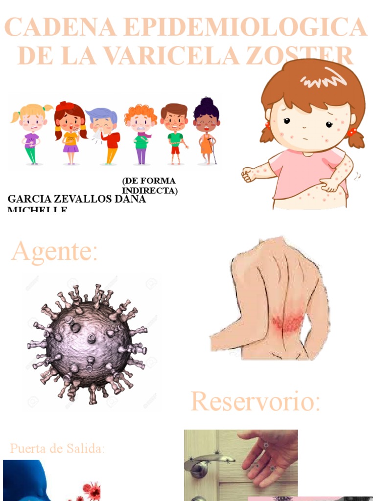 Cadena Epidemiologica De La Varicela Pdf