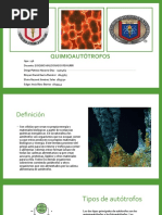 QUIMIOTROFOS | PDF | Sustancias químicas | Biología