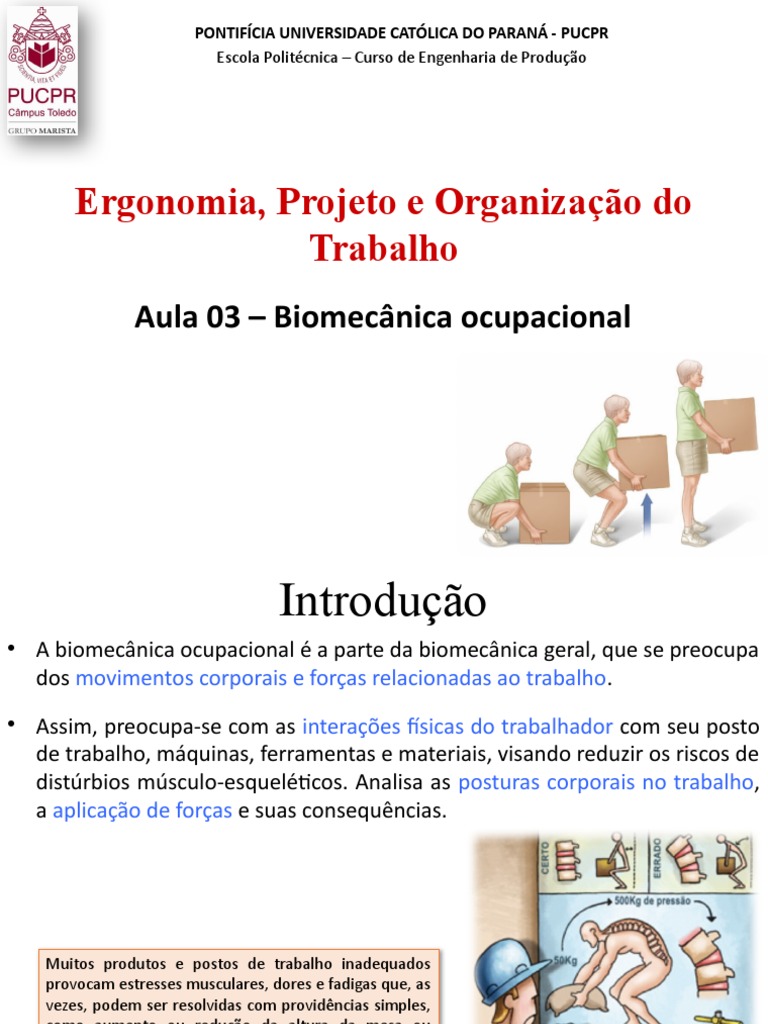 Aula 03 Biomecânica Ocupacional | PDF | Coluna vertebral | Músculo ...
