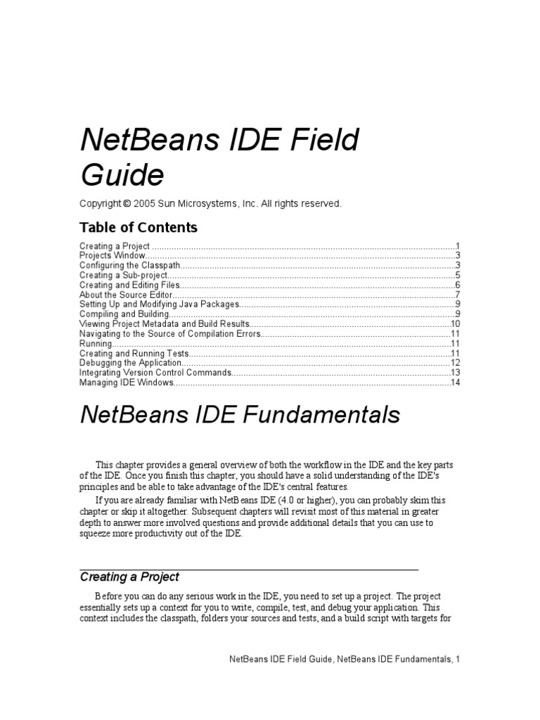 Netbeans Fundamentals | PDF