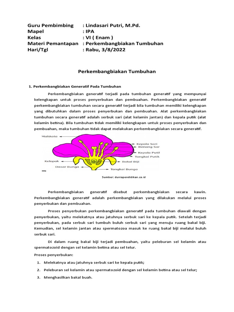 Perkembangbiakan Tumbuhan: Generatif dan Vegetatif | PDF