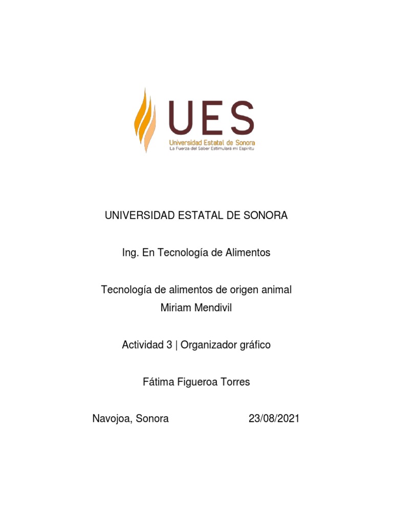 Act. 3 Organizador Gráfico | PDF | Carne | Alimentos Act. 3 Organizador Gráfico | PDF | Carne | Alimentos