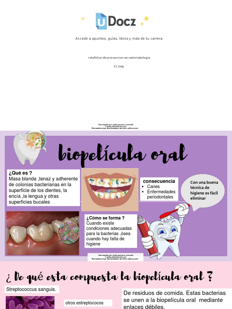 Rotafolio Salus Bucal | PDF | Odontología | Ciencias de la Salud