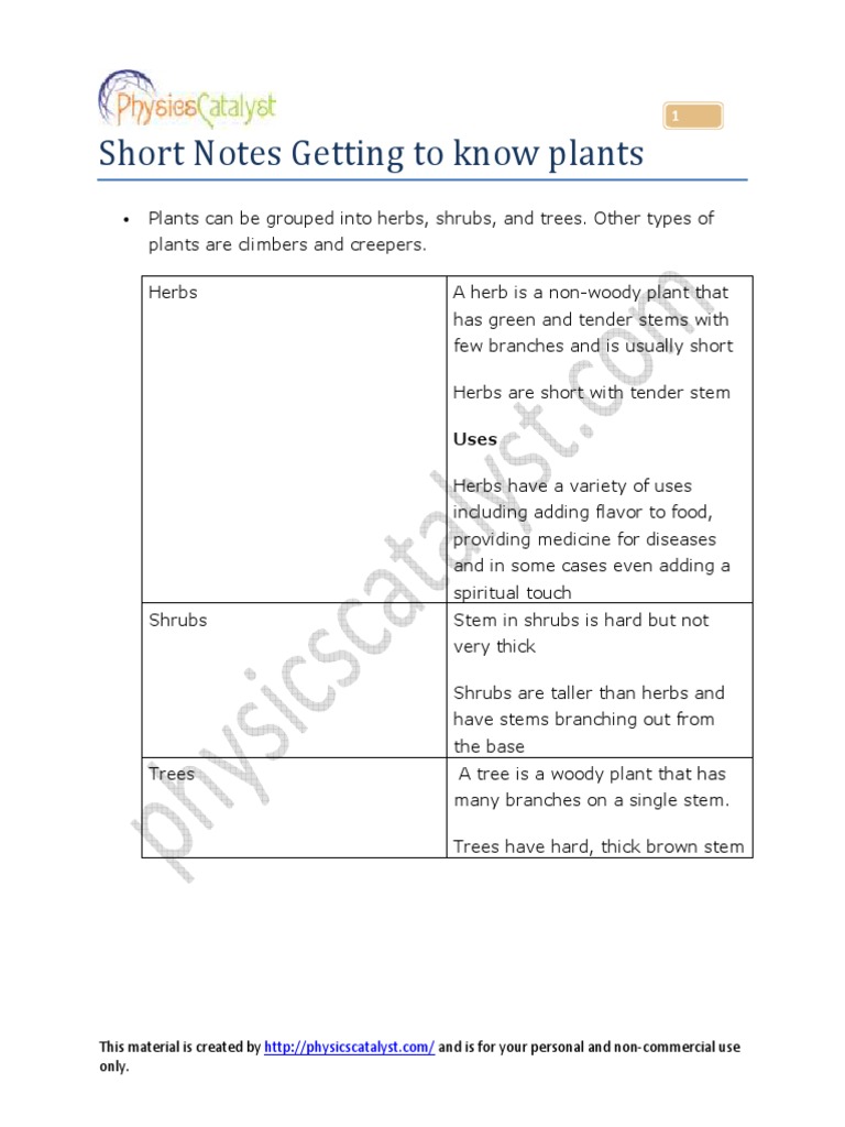 Short_notes_class6_getting_to_know_plants | PDF | Leaf | Flowers