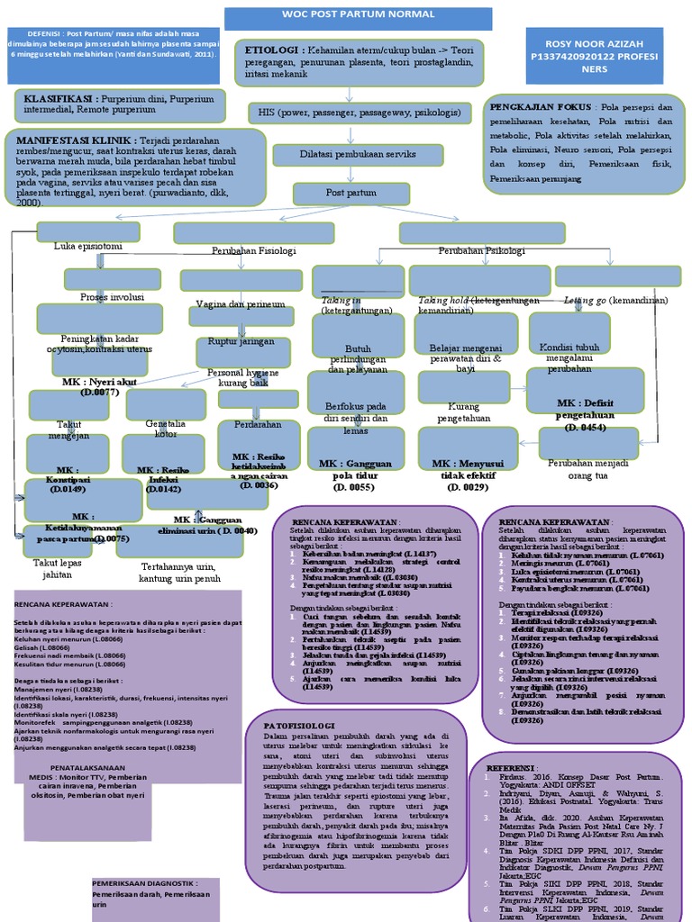 WOC POST PARTUM NORMAL - Mimin | PDF