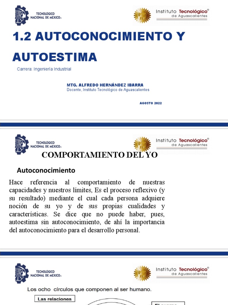 Autoconocimiento y Autoestima en la Motivación | PDF | Autoestima ...