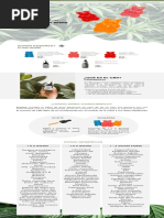 Simi Gummies Dreams para Que Sirve - Buscar Con Google | PDF ...