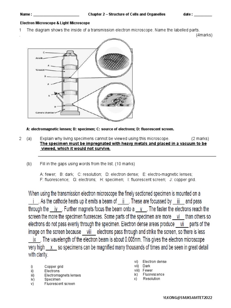 Chapter 2 - Microscope Sturcture & Essay - Answer | PDF | Microscope | Electron Microscope
