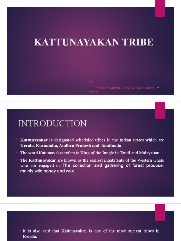 Kattunayakan Tribal Community Presentation | PDF | South Asia