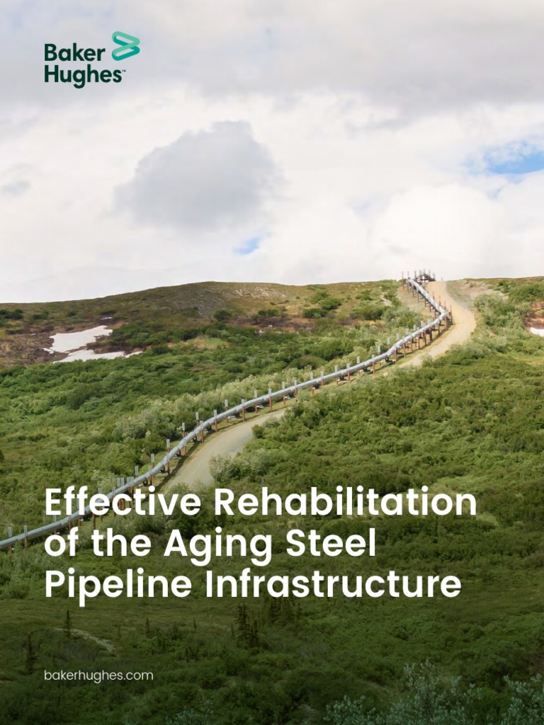 Polyflow Effective Rehab - Pillar - Pages | PDF | Home & Garden ...