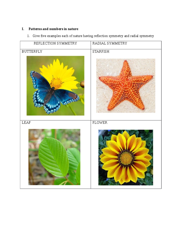 Give Five Examples Each of Nature Having Reflection Symmetry and Radial ...