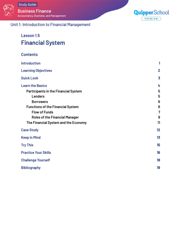 Busfin Financial-System | PDF | Loans | Banks