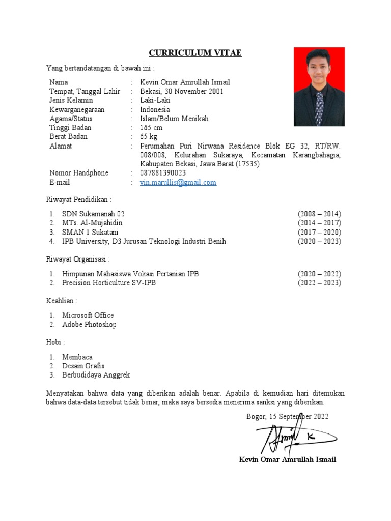 Curriculum Vitae Kevin | PDF