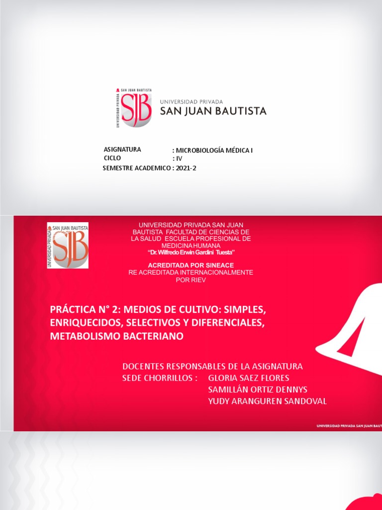 II Practica Micro. 2021-2.-Ok | PDF | Las bacterias | Escherichia coli