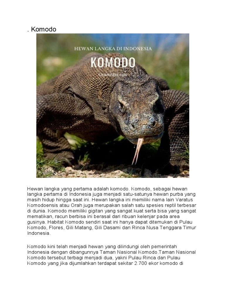 Hewan Langka Di Indonesia | PDF